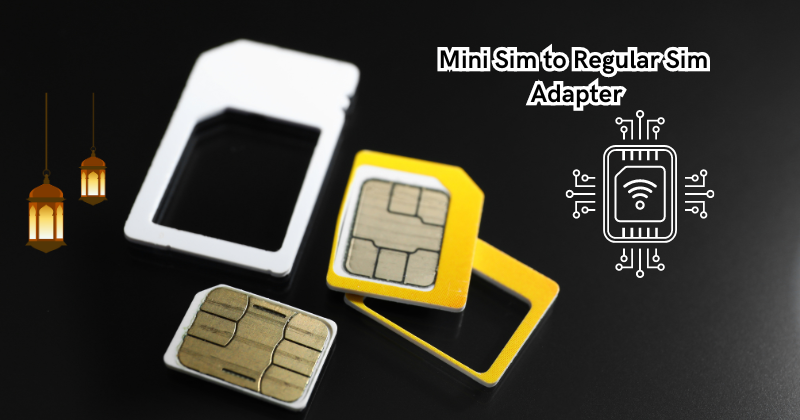 Mini Sim to Regular Sim Adapter