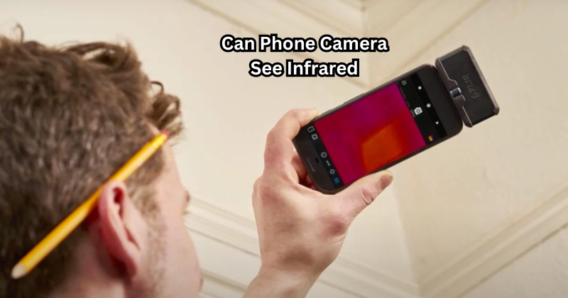 Can Phone Camera See Infrared