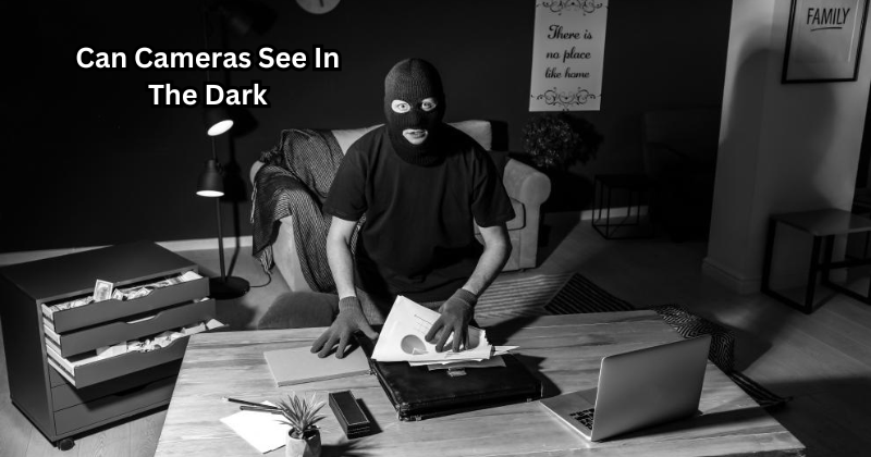 Can Cameras See In The Dark